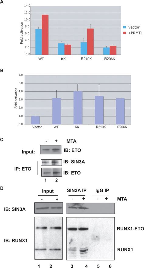 Methylation Of Runx1 By Prmt1 Abrogates Sin3a Binding And Potentiates