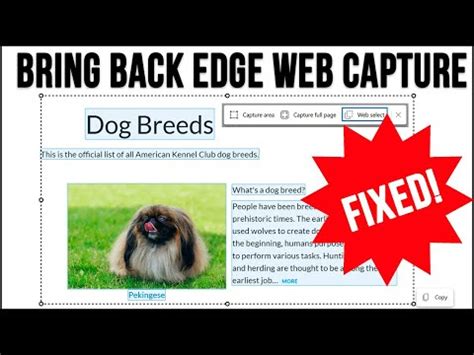How To Enable The Web Select Feature In Microsoft Edge Online Computer Tips