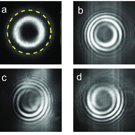 Color Online Schematic Of The Interferometer Setup For The Download Scientific Diagram