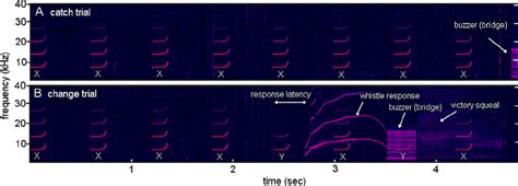 Color Online Spectrogram Of A A Catch Trial And B A Change Trial Download Scientific
