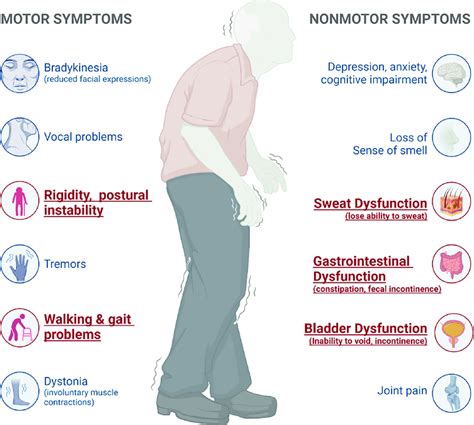Pd And Msa Both Manifest After The Onset Of Motor Symptoms Listed On