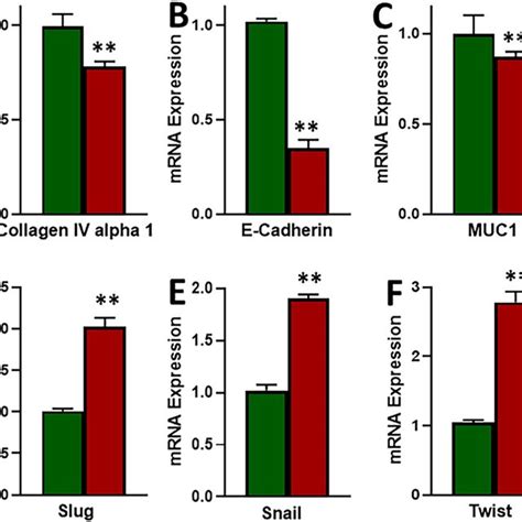 Induction Of Emt In Tamoxifen Resistant Cells A C Epithelial Markers Download Scientific