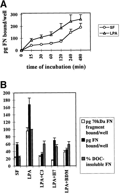 Binding Of Fibronectin And The 70 Kd Fibronectin Fragment To Swiss 3t3 Download Scientific
