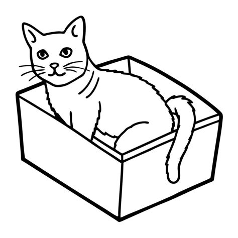 A Cat Inside A Box With Vintage Drawing Style Illustration Line Art