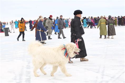 ХОВД МӨСНИЙ БАЯРЫГ ҮЗЭЖ ОРОЛЦОХООР 20 000 ОРЧИМ ХҮН ИРЖЭЭ Show Mongolia Digital Media