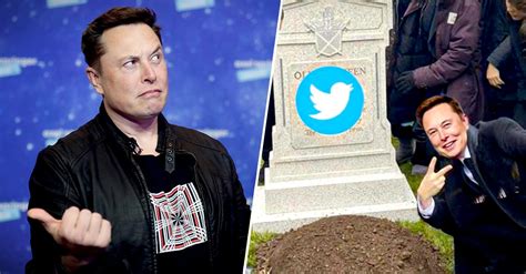 Elon Musk Wants To Limit The Number Of Tweets You Can Read Per Day World Stock Market