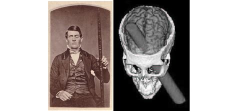 Introduction To Neuroscience