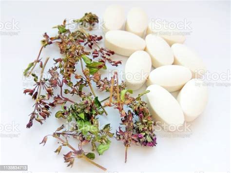 흰색 바탕에 건조 한 천연 허브와 약초 약 약초 및 건강 보조 식품의 개념 생물학적 활성 첨가제 및 비타민 알약에 대한 스톡 사진 및 기타 이미지 Istock