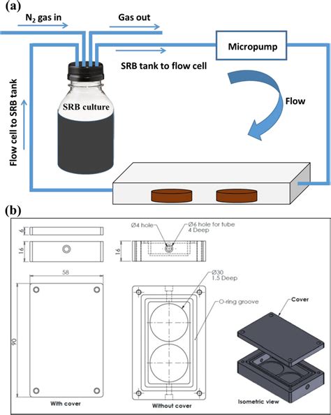 A Schematic Representation Of The Experimental Setup Using Flow Cell B