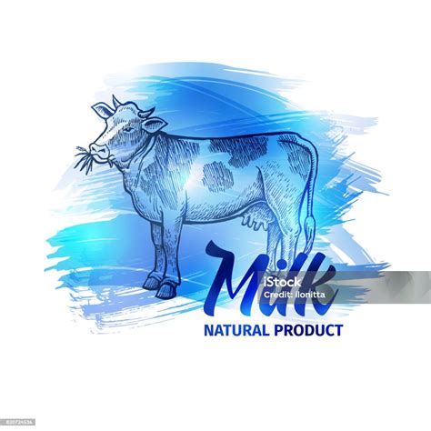 Tangan Digambar Sketsa Sapi Latar Belakang Sapi Alami Ilustrasi Vektor Ilustrasi Stok Unduh