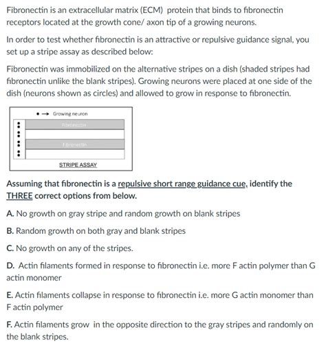 Solved Fibronectin Is An Extracellular Matrix Ecm Protein
