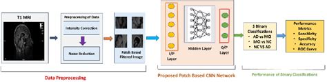 Figure 1 From A Patch Based 3d Cnn Approach For Diagnosing Early Stages Of Alzheimers Disease