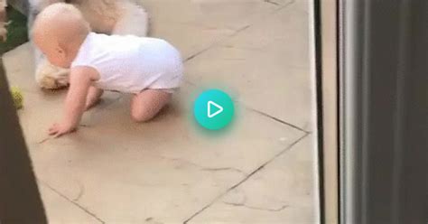 fetch on imgur