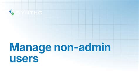 Manage Non Admin Users Syntho Documentation