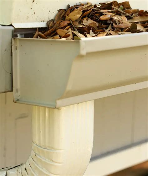 Easy Ways To Prevent Gutter Problems Luminous Builders