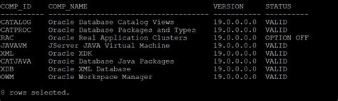 Apply Patching On Oracle 19c Database Release Update 19 9 0 0 201020 Oracledbwr
