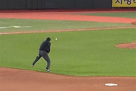 심판이 타구에 맞으면 Kinis Sportugese