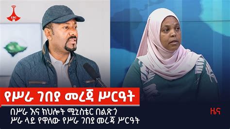 የሥራ ገበያ መረጃ ሥርዓት Etv Ethiopia News Youtube