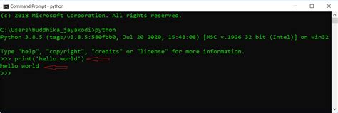 How To Install And Setup Python On Windows Devzigma