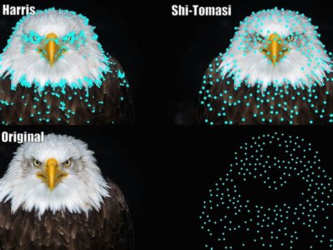 A Tutorial On Motion Estimation With Optical Flow With Python Implementation Amir Masoud