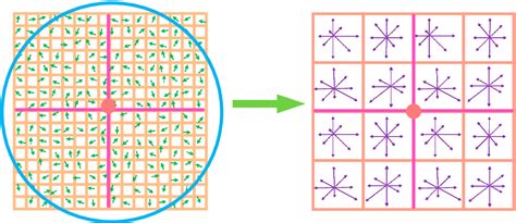 Figure 1 From Target Search For Joint Local And High Level Semantic Information Based On Image