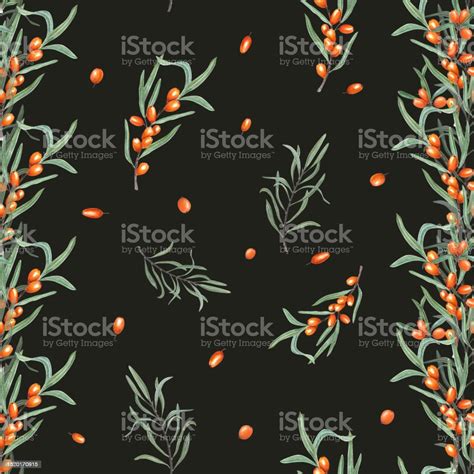 검은 배경에 분리된 바다 갈매 나무속 가지의 수채화 매끄러운 패턴 오렌지 열매와 녹색 잎이 있는 식물 삽화는 방 장식 인쇄 엽서 섬유 디자인을 위한 것입니다 가을에 대한