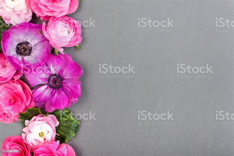 회색 백 그레이에 아름 다운 장미와 흰색 꽃입니다 파스텔 컬러 발렌타인 또는 여자의 날에 대 한 인사말 카드입니다 텍스트의 공간 복사 기념일에 대한 스톡 사진 및 기타