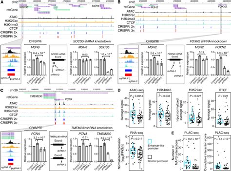 Enhancer Like Promoters Act As Functional Enhancers A To C Three