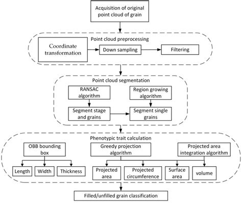 Cereal Grain Point Cloud Processing Pipeline Download Scientific Diagram