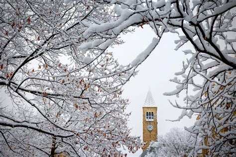 Cornell University Added A New Photo Cornell University