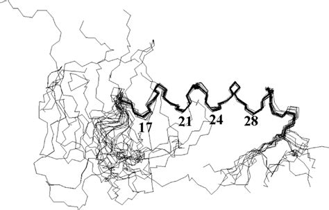 Nmr Ensemble Of The 20 Lowest Energy Structures Of Bpp Bound To Dpc