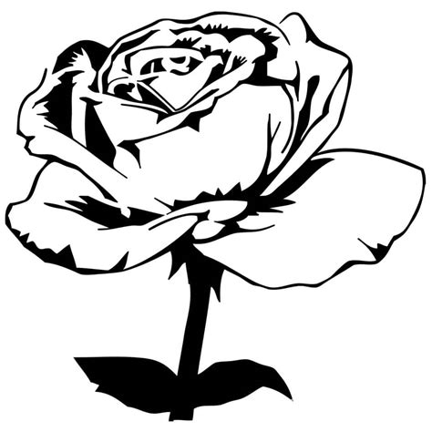 Rosali Wall Sticker Wall