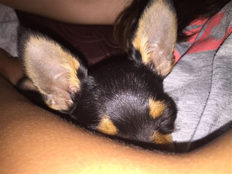 Jaylea Smith Smithjaylea Twitter