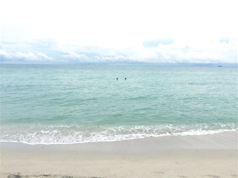 플로리다마이애미 여행 ~12월의 여름~ 2 네이버 블로그