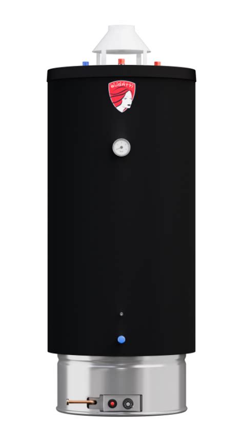 Купить Водонагреватель Federica Bugatti INOX WH200 напольный ...