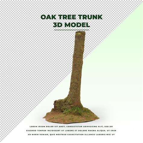 Premium Psd Oak Tree Stump