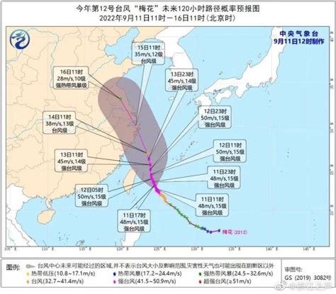 浙江省气象局启动重大气象灾害台风业务服务Ⅳ级应急响应 台湾海峡 梅花 海面