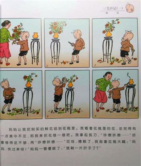 三毛流浪记的全部内容怎么写
