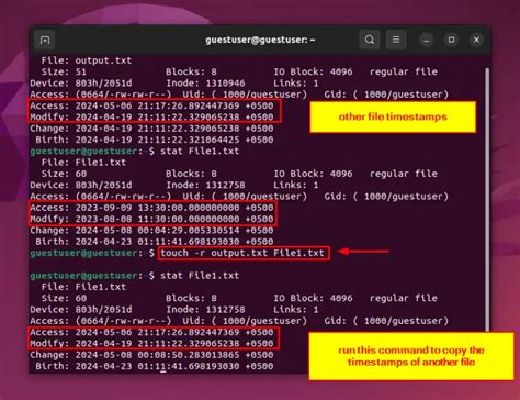 How To View Linux File Timestamps 3 Easy Methods
