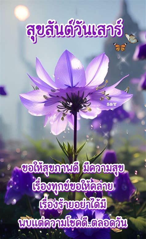 ปักพินโดย 💫💙mustjai Taurus💙💫 ใน วันเสาร์ ดอกไม้สีม่วง อรุณสวัสดิ์