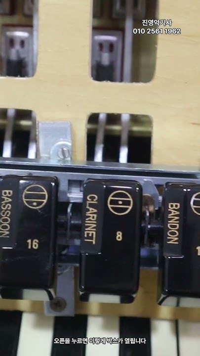 특별한 아코디언 이야기 음향상자 엑셀시오르 심포니 골드 악기 진영악기사 010 2561 1962 Youtube