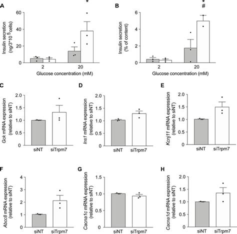Knockdown Of Trpm7 Results In Increased Insulin Secretion In Ins 1