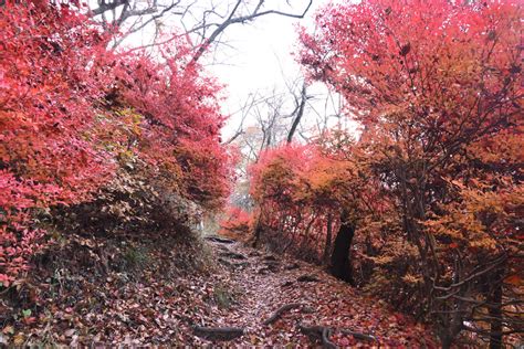 【javascript】queryselectorallで要素を取得し、クリックしたら、クラスを追加したり、削除したりする方法。queryselectorとの違い。