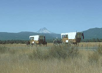 Distant View Of Mt Hood From Wamic Road Along Oregon Trail In Oregon