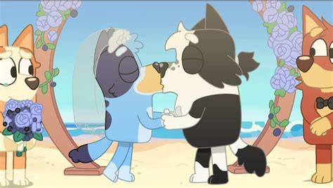 Bluey And Mackenzie In The Wedding 48 By Mikolaj2009 On Deviantart