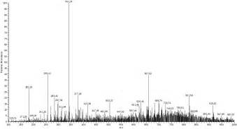 Clustering Dendrogram From Table With Repeated Lines Cross Validated