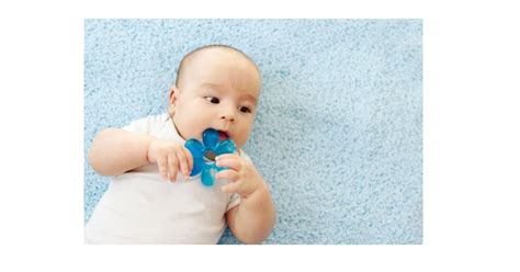 Toxic Ingredient Phthalates