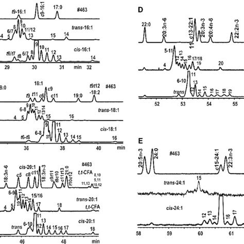 33 Partial Rp Hplc Chromatogram Of Iodine Isomerized Positional Cda