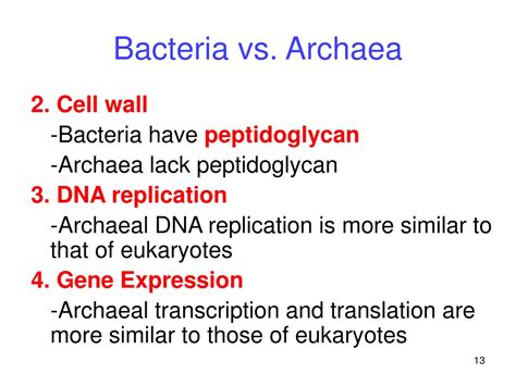 Ppt Exploring Prokaryotic Diversity And Structure Powerpoint Presentation Id 9432178