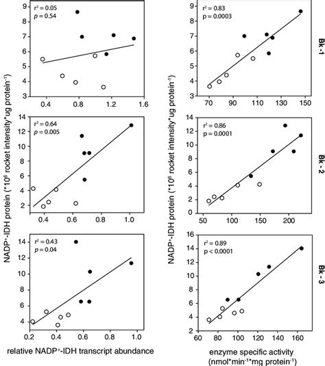 Least Square Linear Regression Analyses Of Nadp þ Idh Enzyme Protein Download Scientific